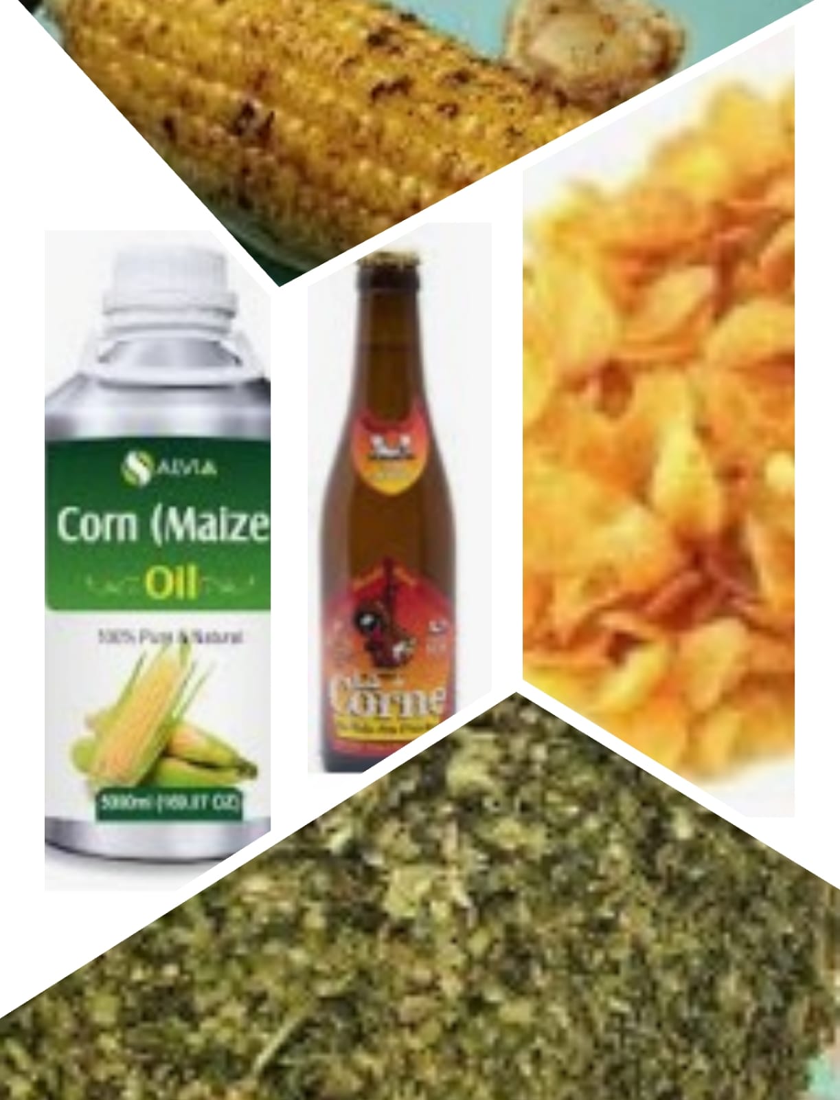 Maize: Dietary Importance and maize process busineass
